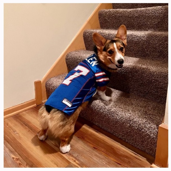 NFL | Dog | Josh Allen Buffalo Bills Pet Jersey | Poshmark